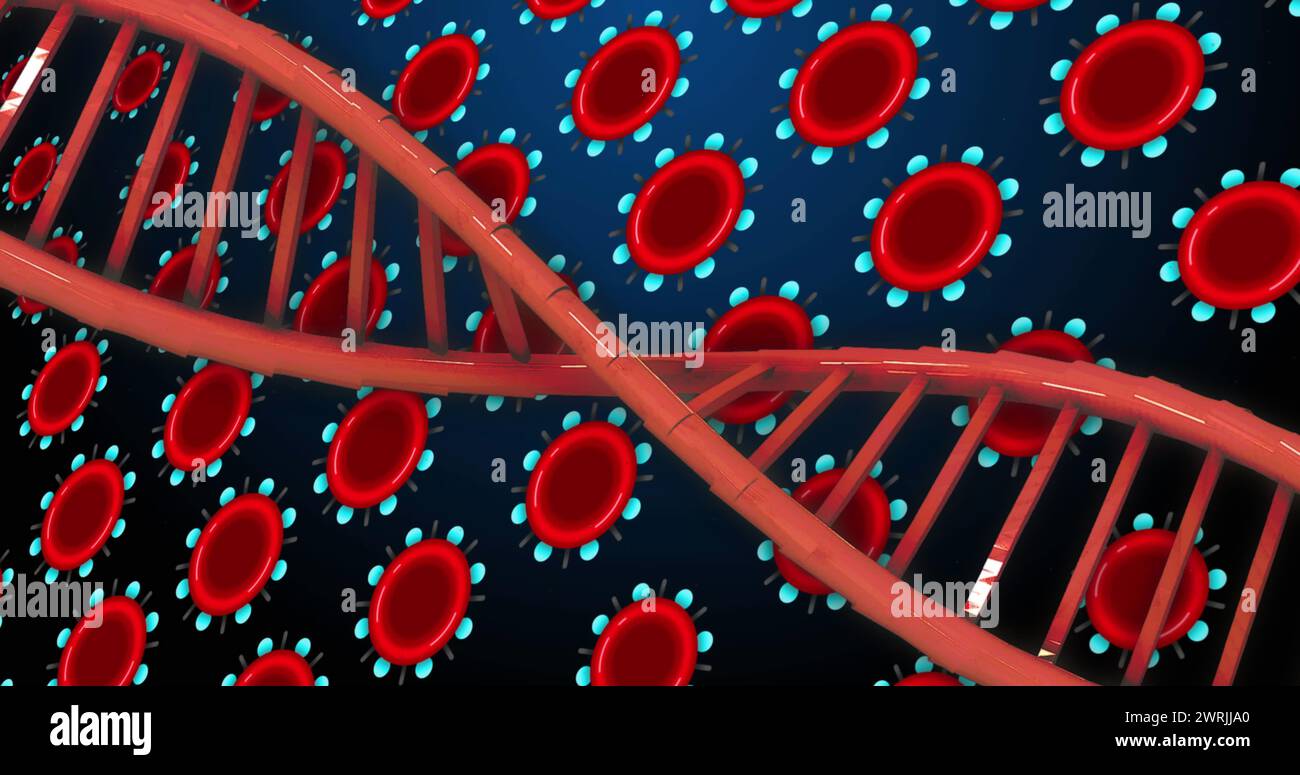 Image of dna over red cells on blue background Stock Photo - Alamy