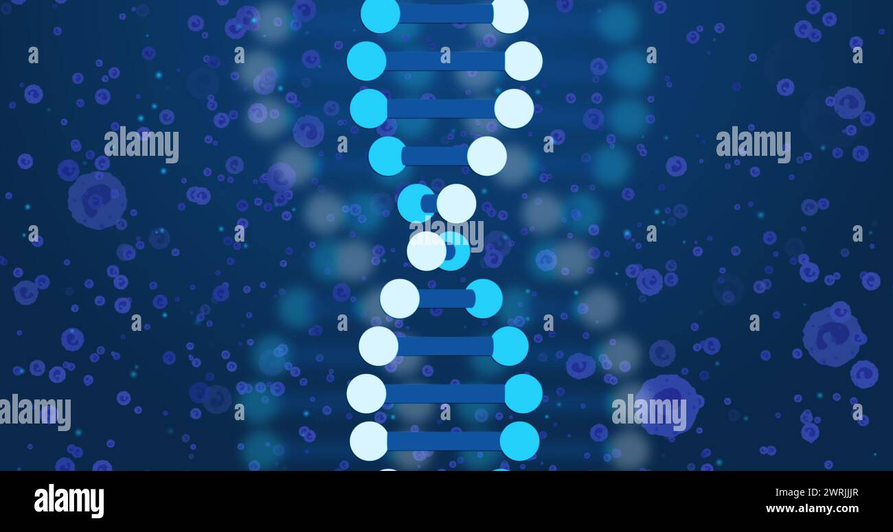 Image of dna over blue cells on navy background Stock Photo - Alamy