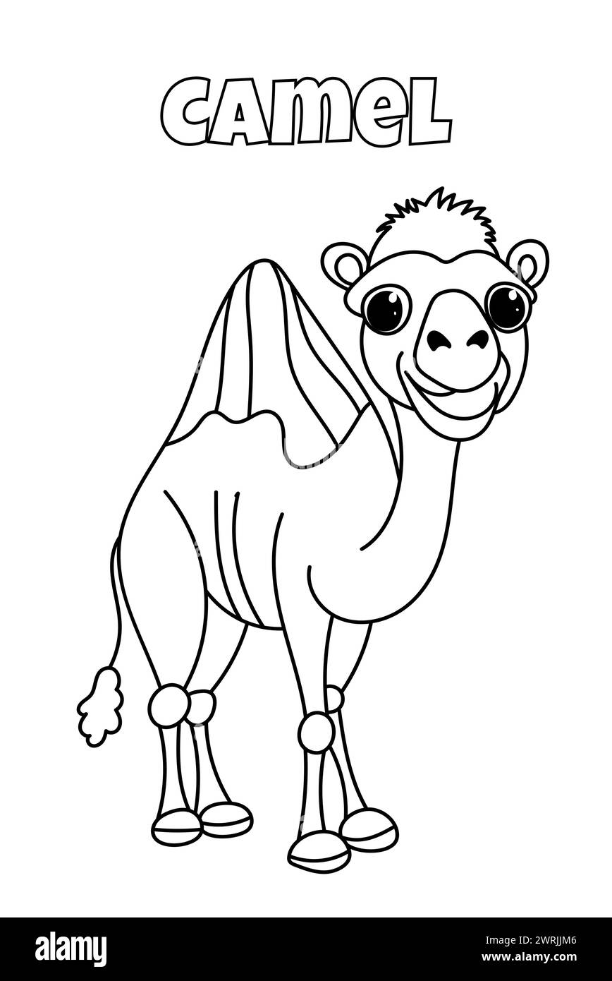 Camel Coloring Page For Kids Is A Creative Book For Coloring Stock ...