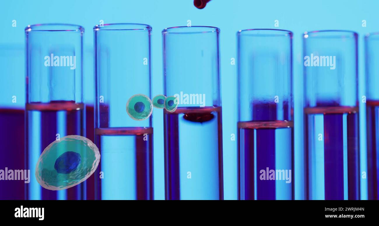 Image of white blood cells over test tubes in laboratory on blue ...