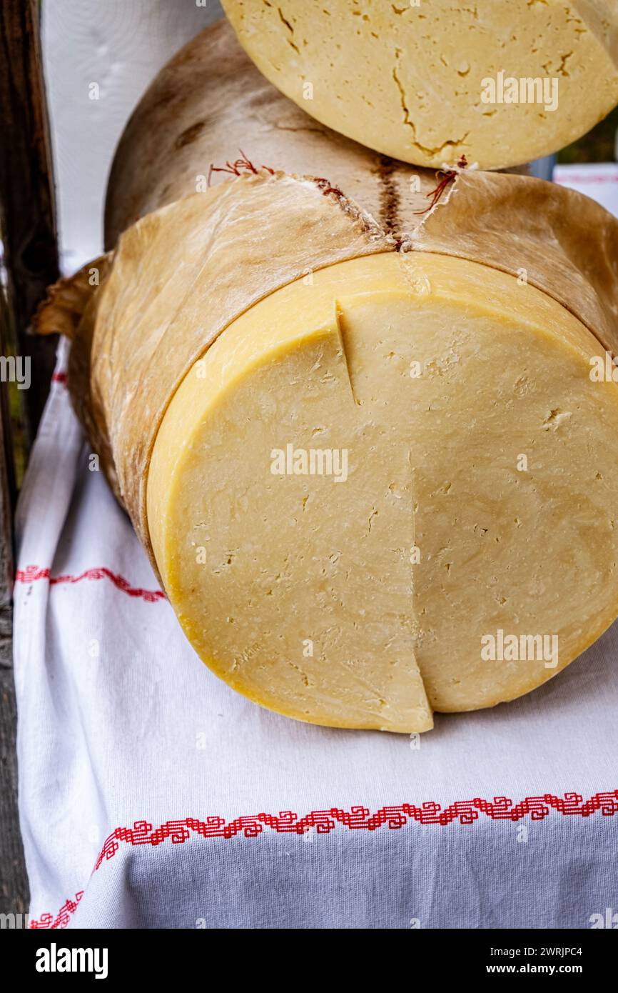 Traditional sheep cheese from Romania, known as bellows cheese in cow ...