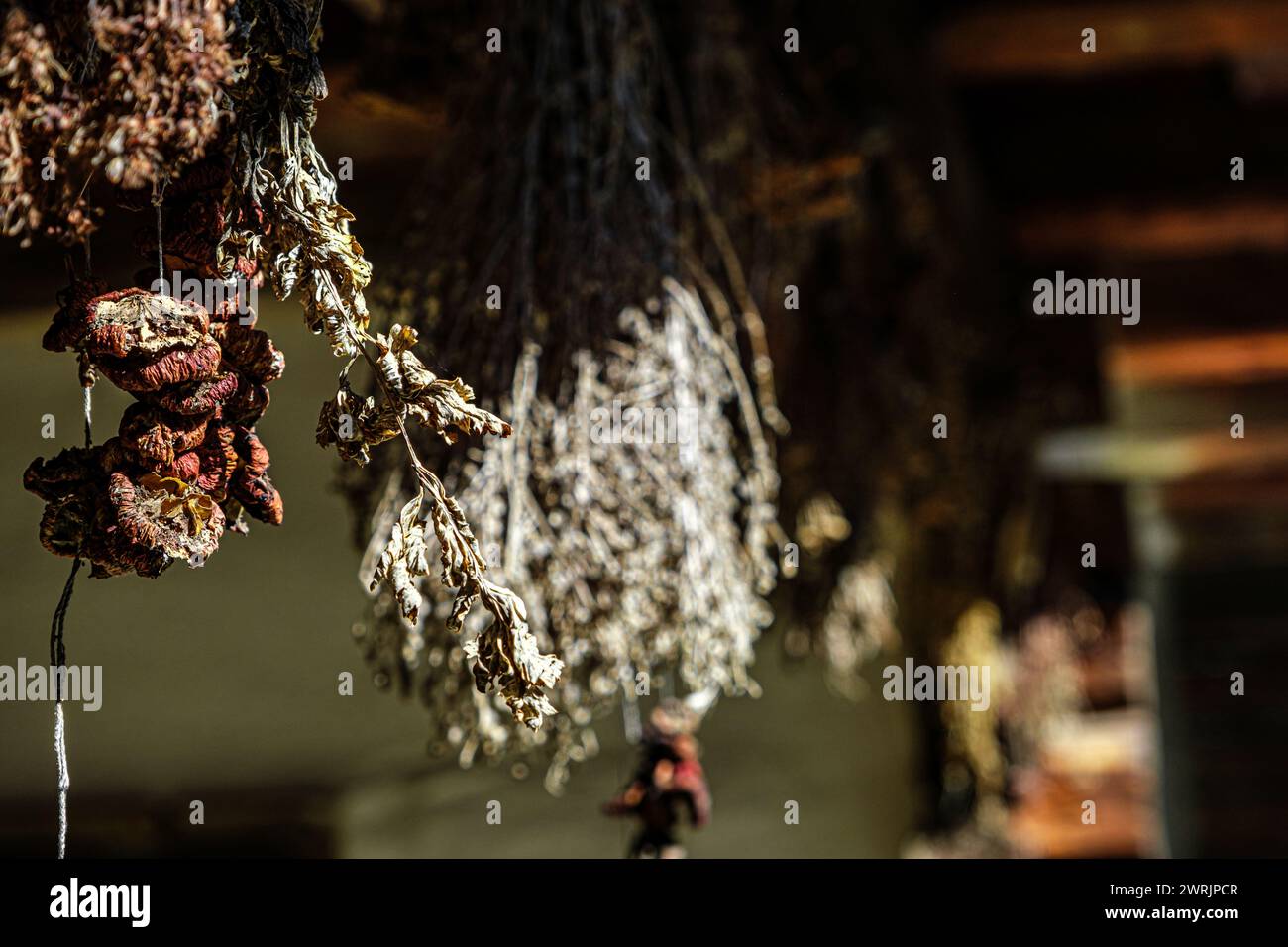 various aromatic herbs and mushrooms dried in the traditional Romanian ...