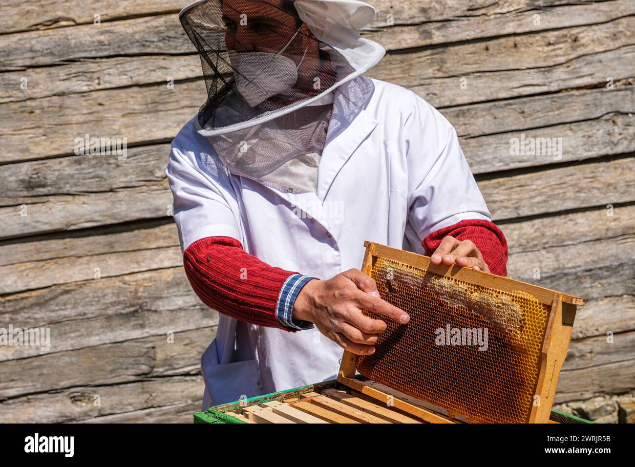 Sibiu city, Romania - 24 April, 2021.. a beekeeper at the beehive Stock ...