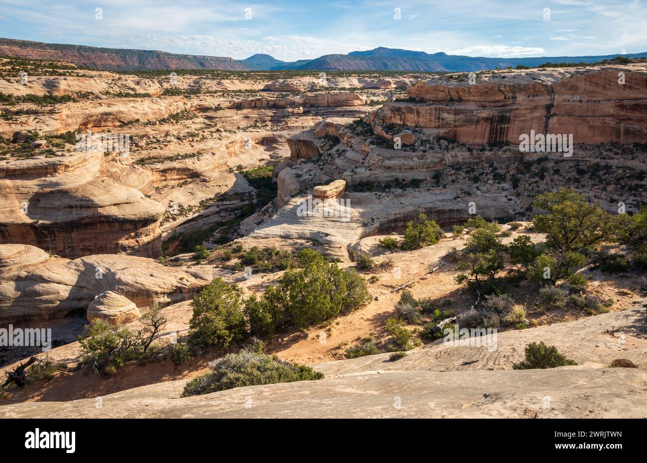 National bridges monument night sky hi-res stock photography and images ...