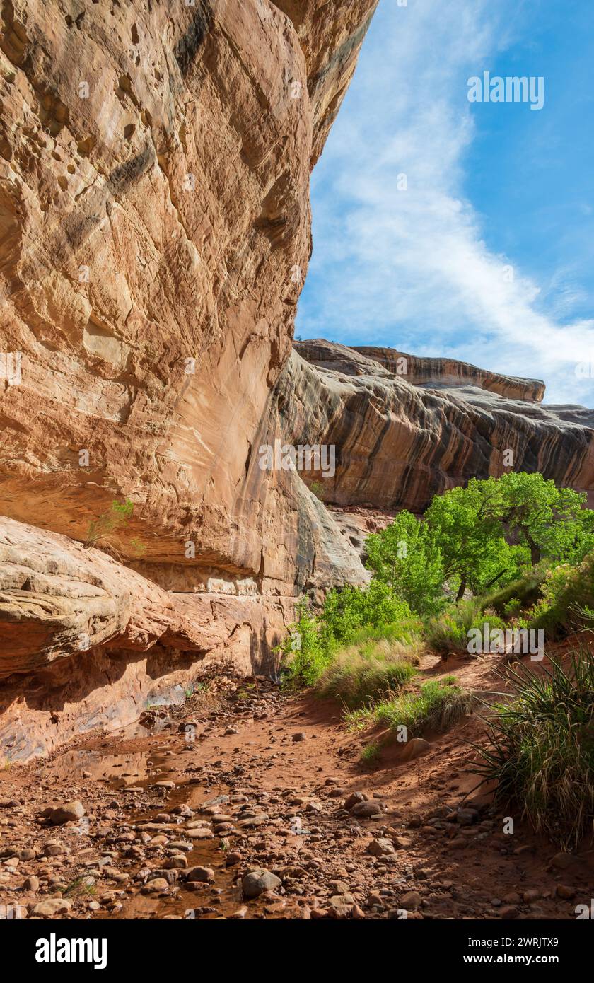 Natural Bridges National Monument in Southeast Utah, USA Stock Photo ...