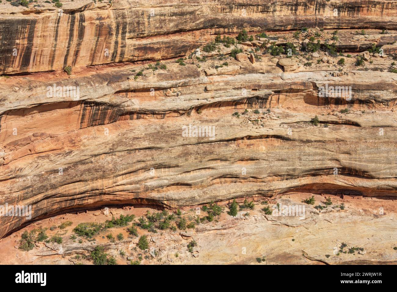 National bridges monument night sky hi-res stock photography and images ...