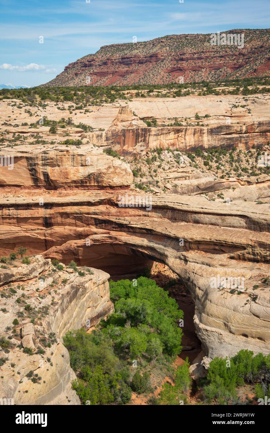 Natural Bridges National Monument in Southeast Utah, USA Stock Photo ...