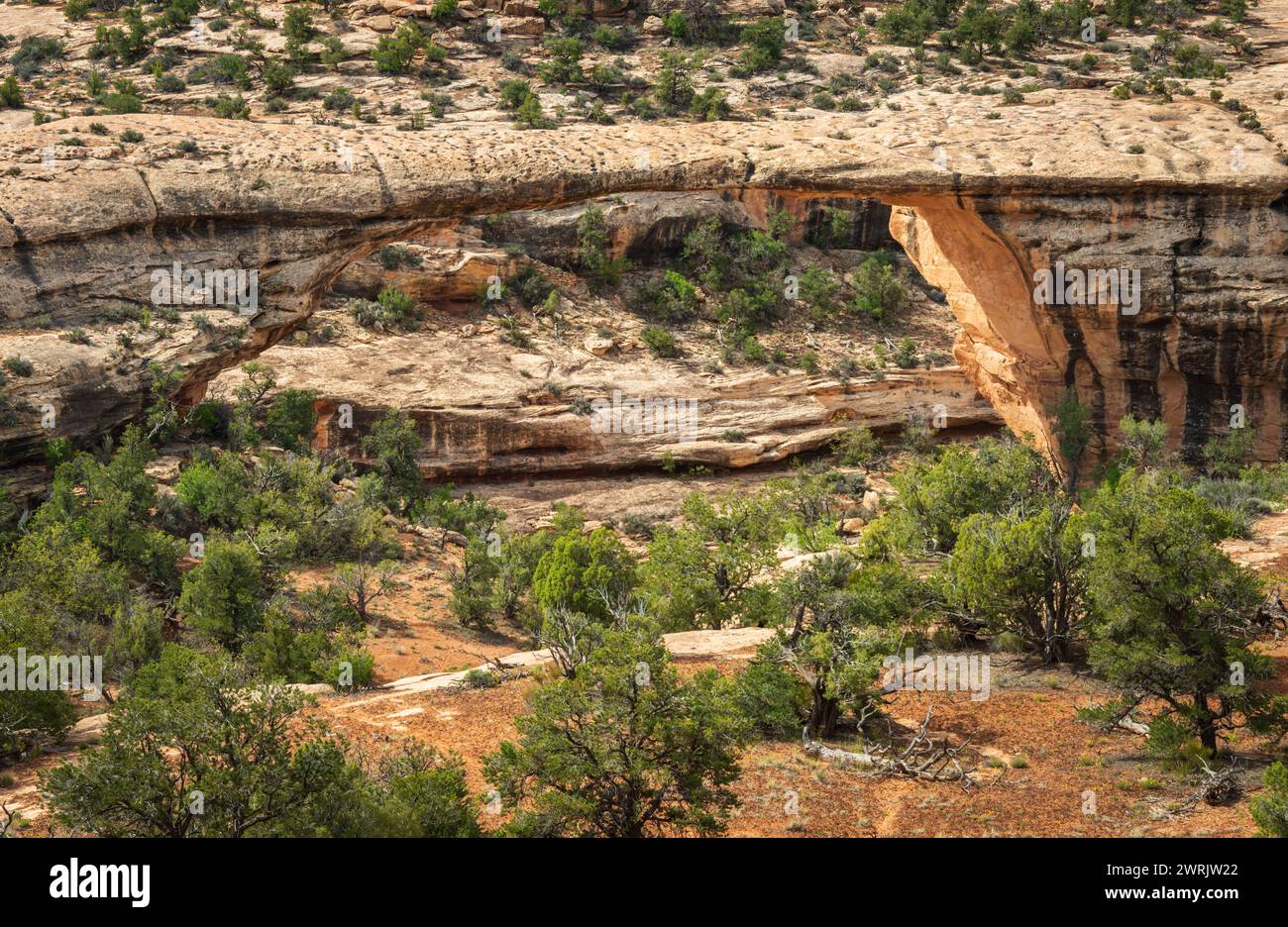 Natural Bridges National Monument in Southeast Utah, USA Stock Photo ...