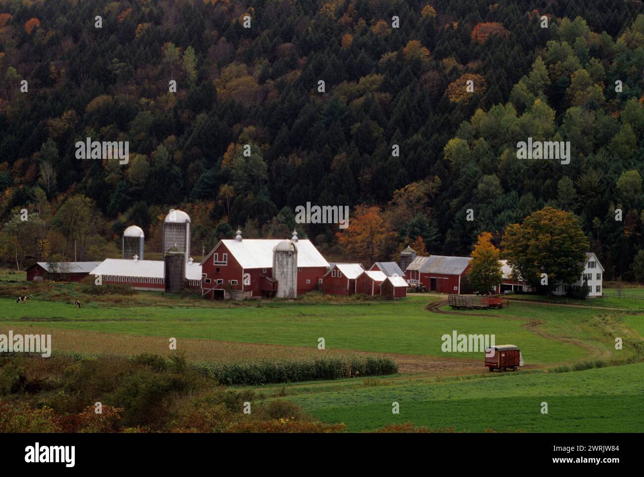 USA VERMONT FARM landscape Stock Photo - Alamy