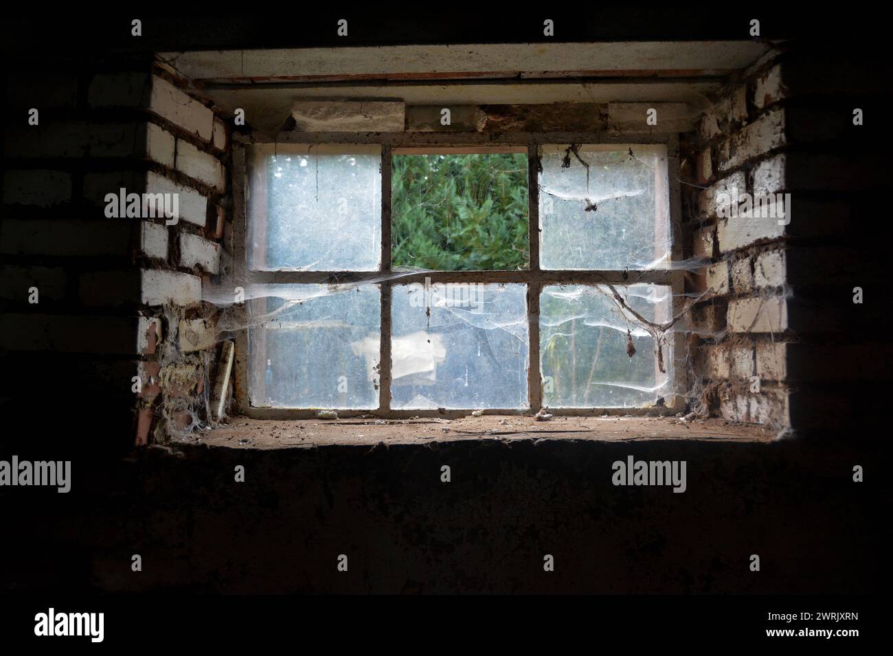 Old cellar window with spider webs, view outside and a missing pane of ...