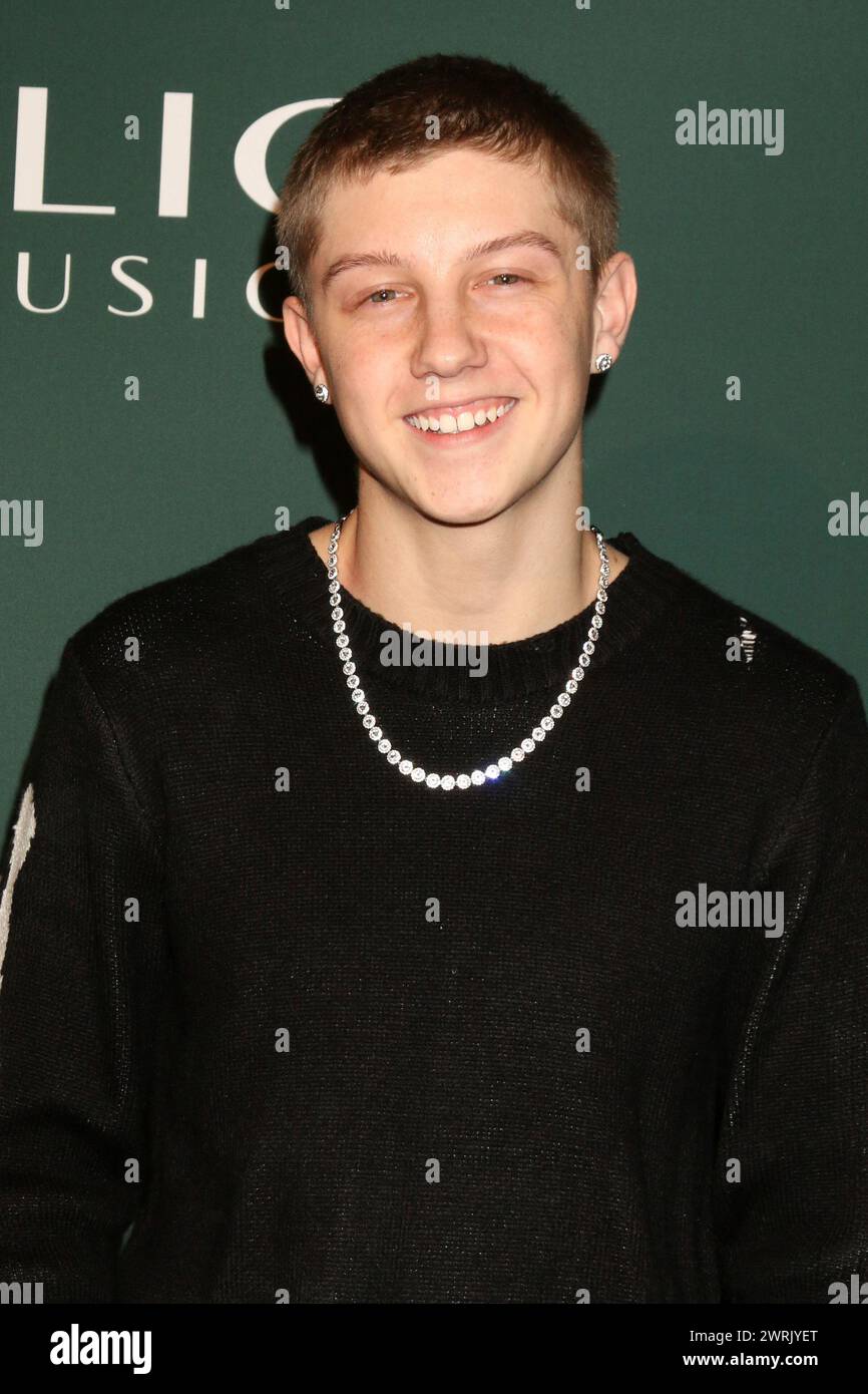 LOS ANGELES - JAN 31: Stefan Benz at the 2024 Clio Music Awards at the ...