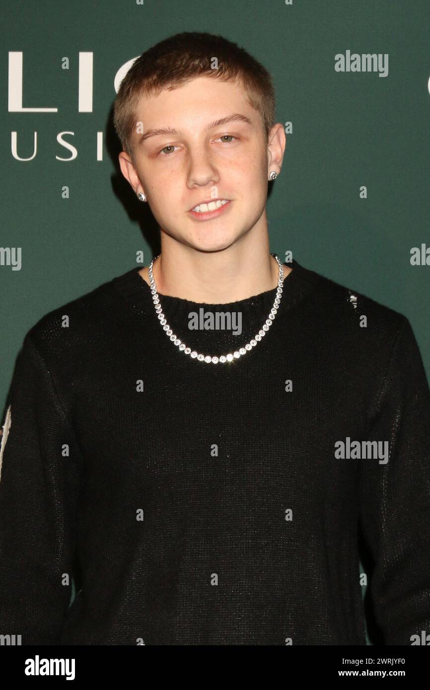 LOS ANGELES - JAN 31: Stefan Benz at the 2024 Clio Music Awards at the ...