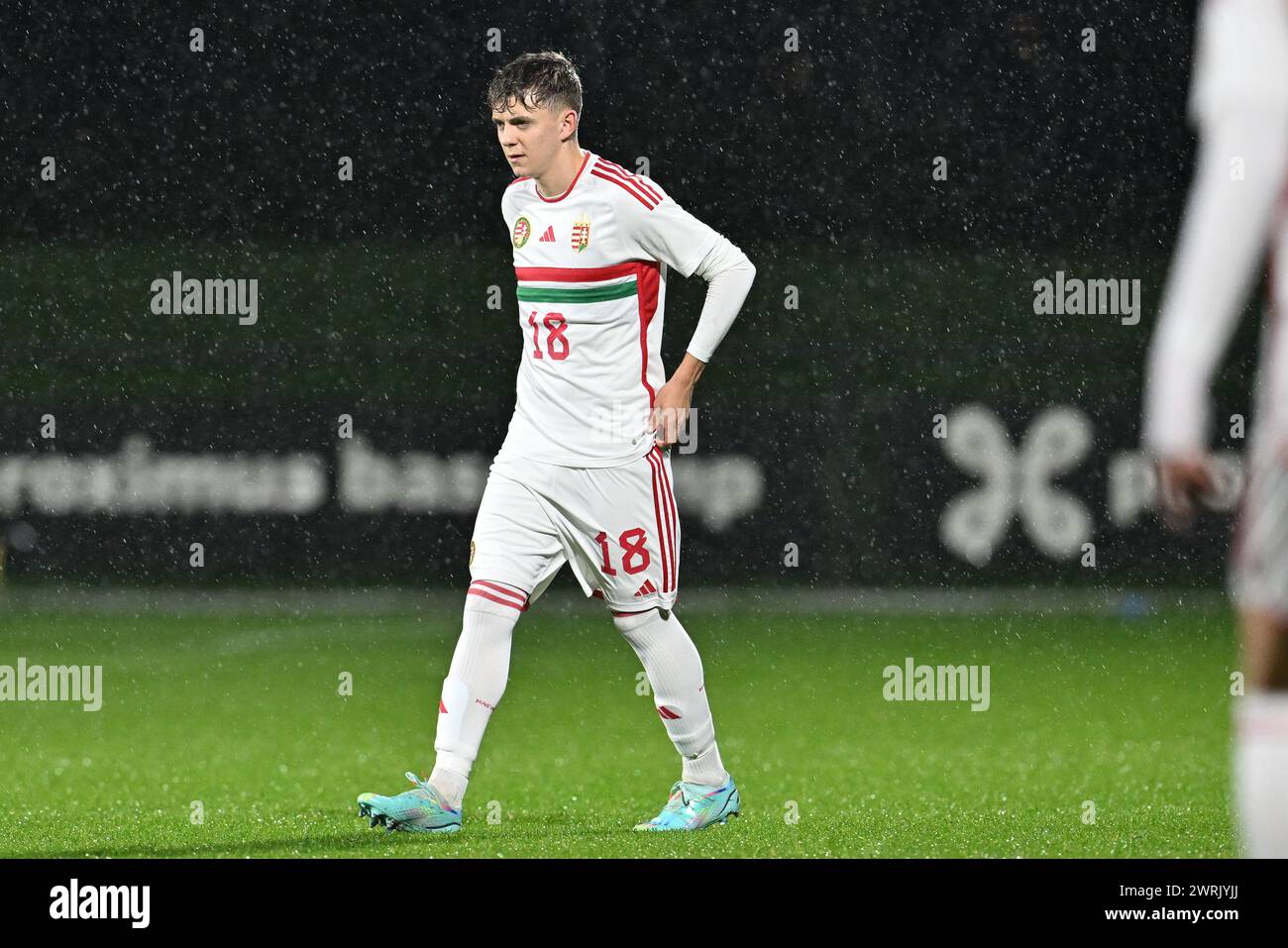 Jesse bisiwu belgium hi-res stock photography and images - Alamy