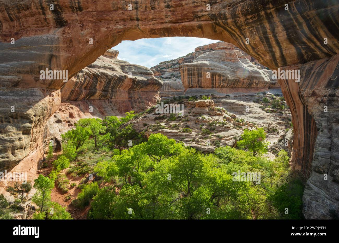National bridges monument night sky hi-res stock photography and images ...