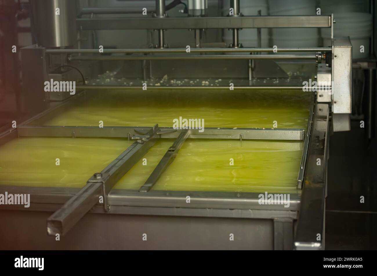 Process of organic cheese making from cow milk on bio cheese farm in ...