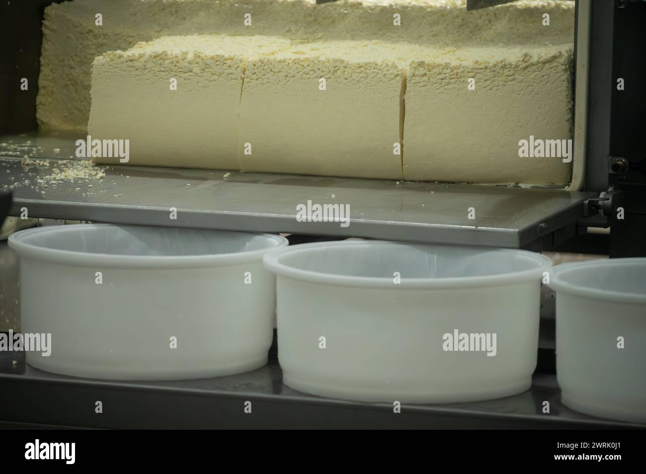 Process of organic cheese making from cow milk on bio cheese farm in ...