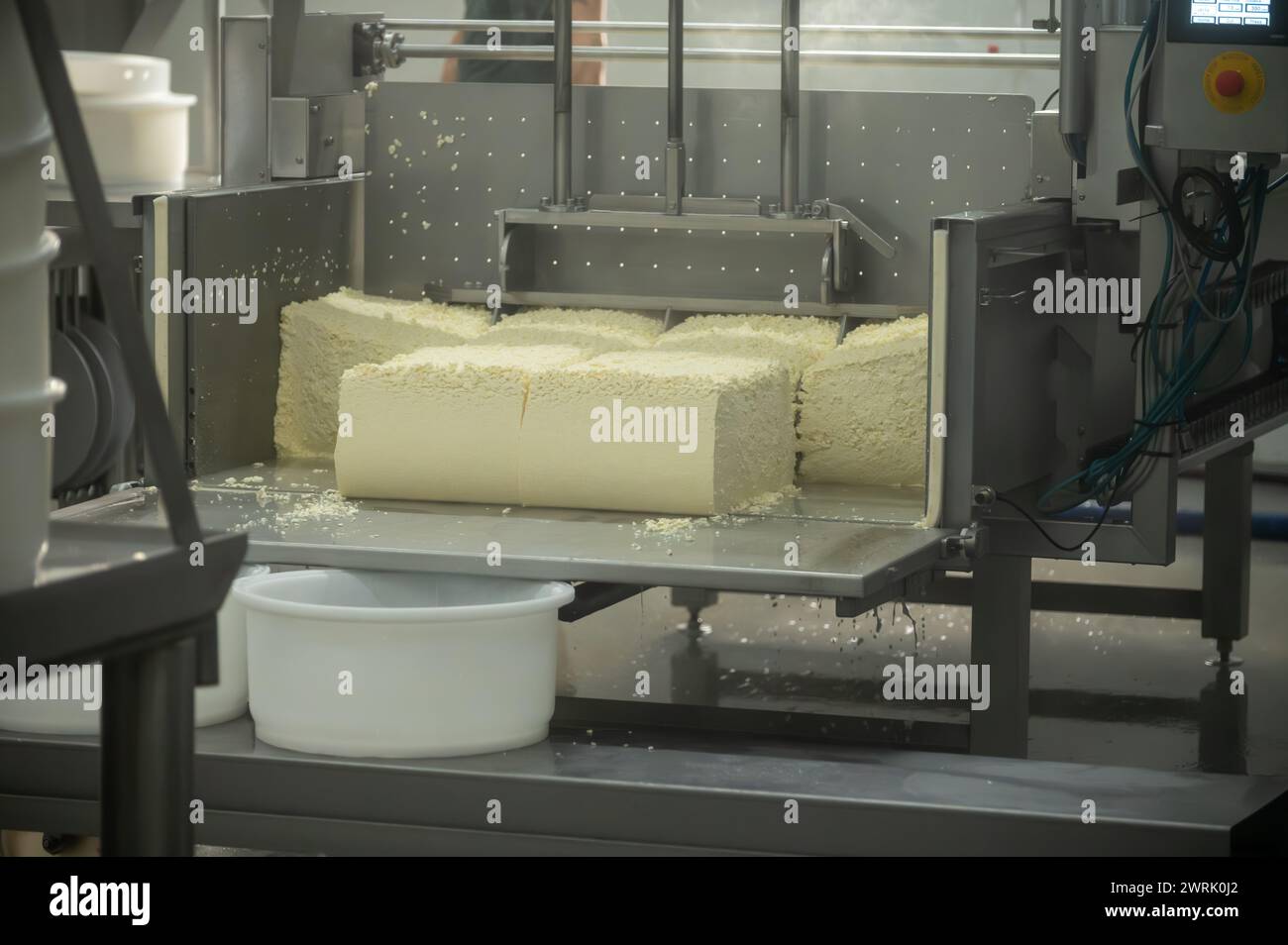 Process of organic cheese making from cow milk on bio cheese farm in ...
