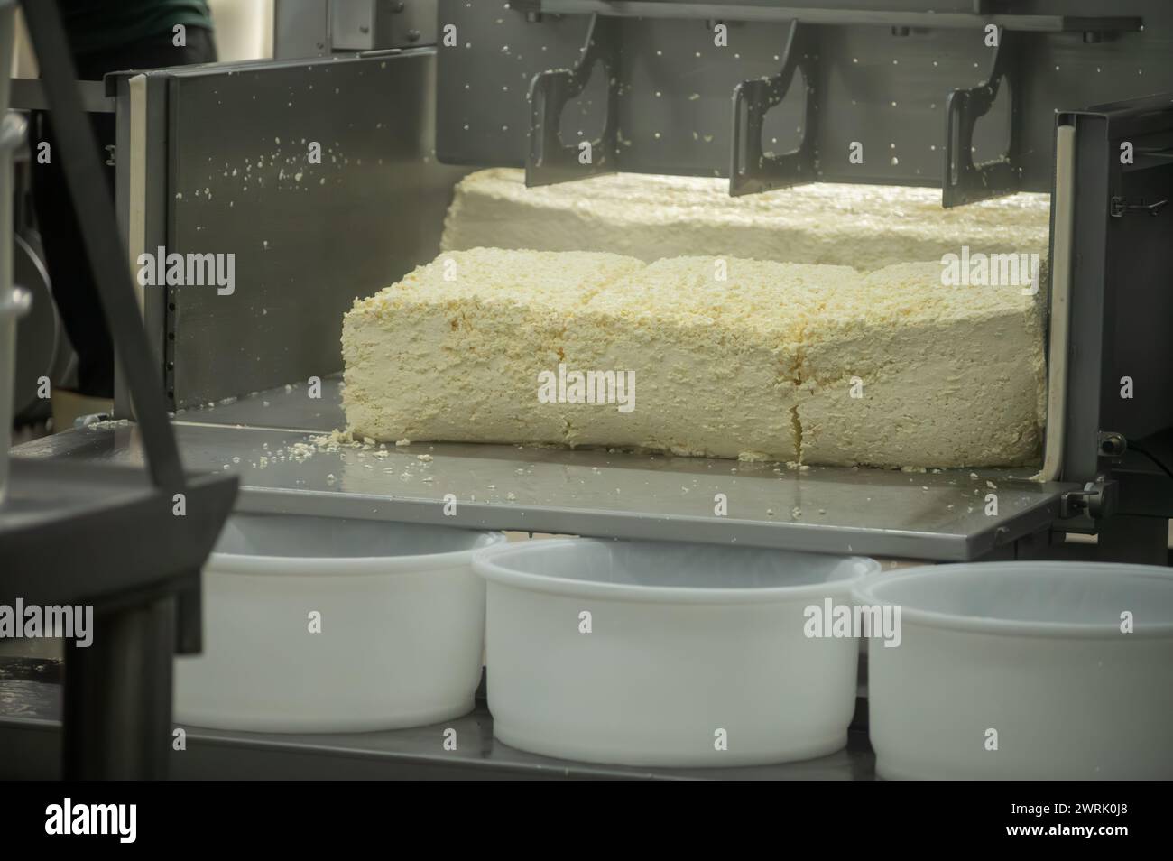 Process of organic cheese making from cow milk on bio cheese farm in ...