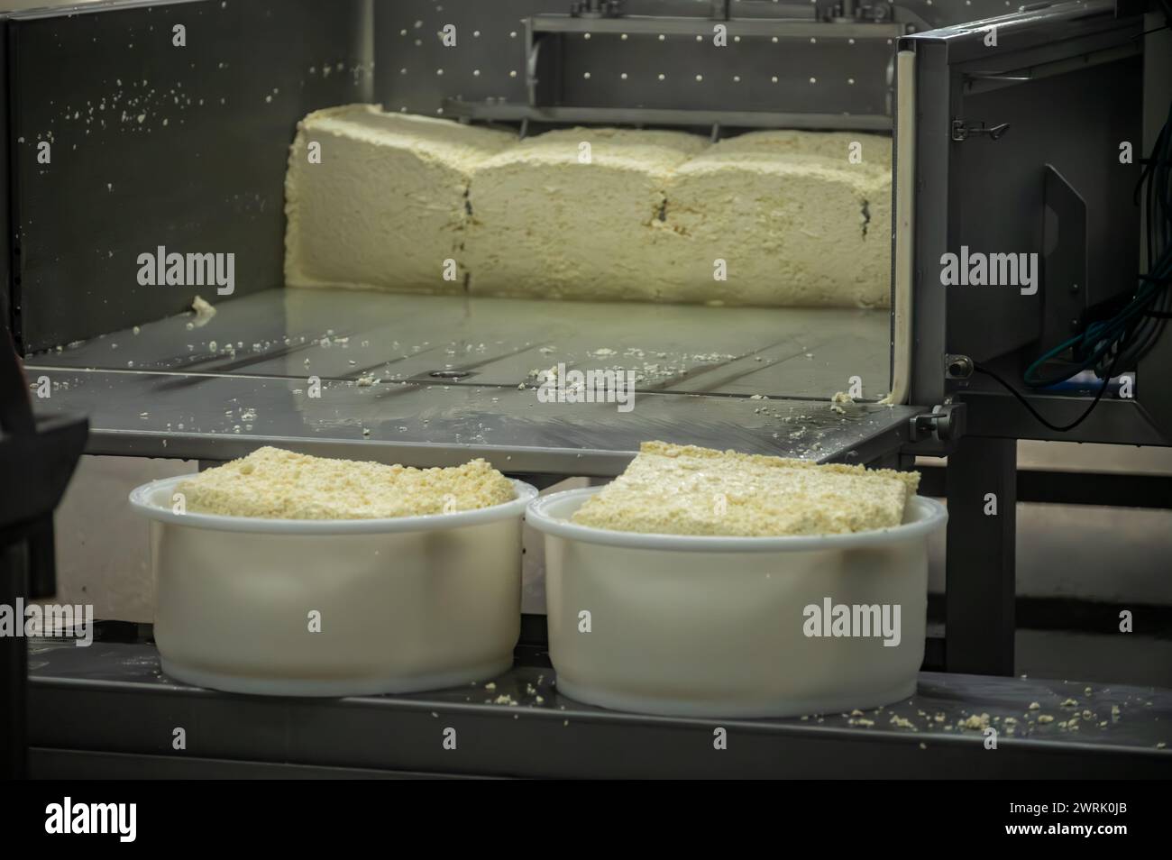 Process of organic cheese making from cow milk on bio cheese farm in ...