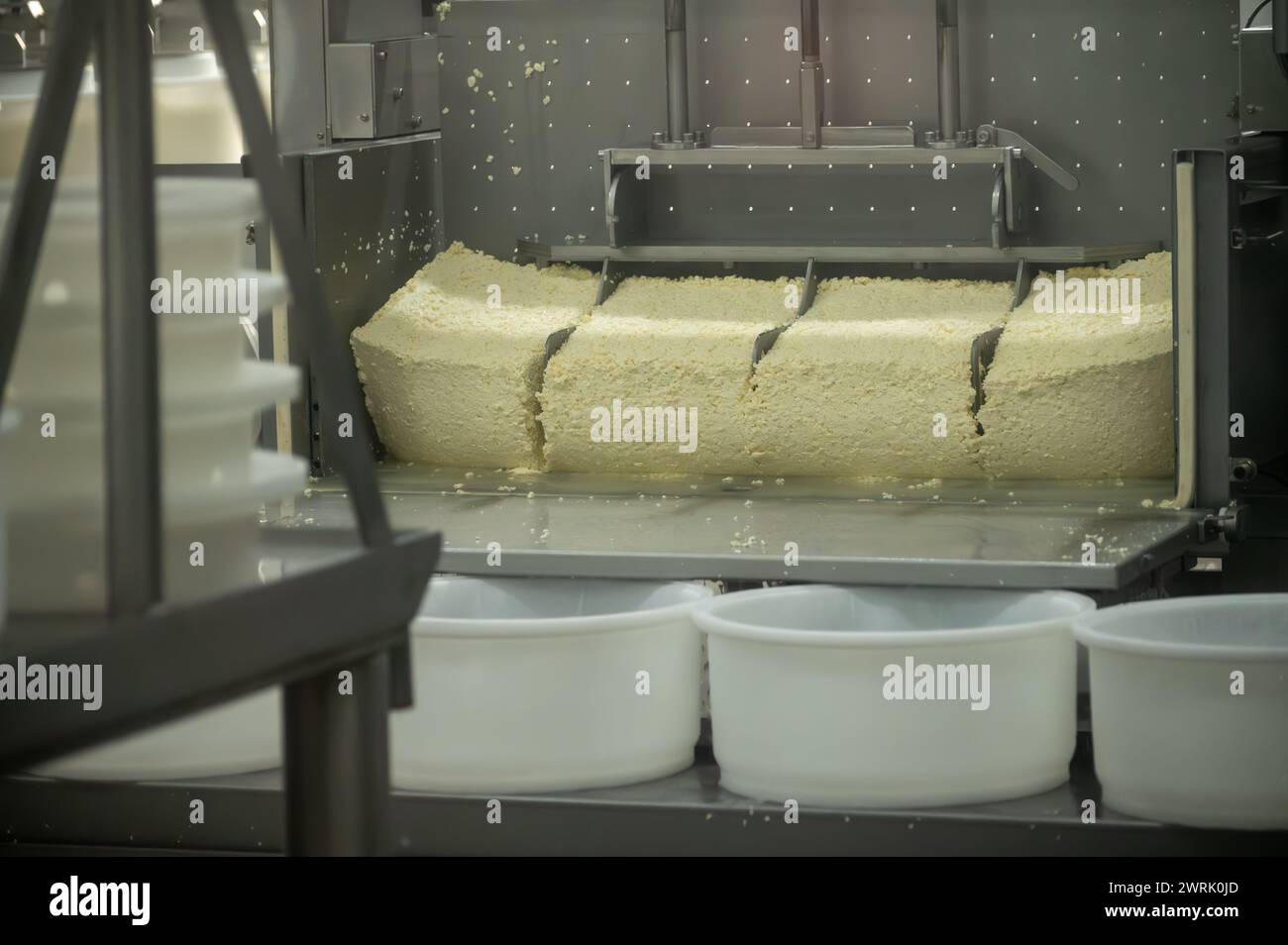 Process of organic cheese making from cow milk on bio cheese farm in ...