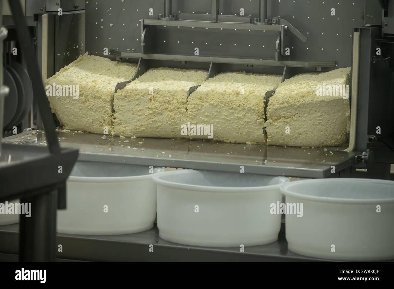 Process of organic cheese making from cow milk on bio cheese farm in ...