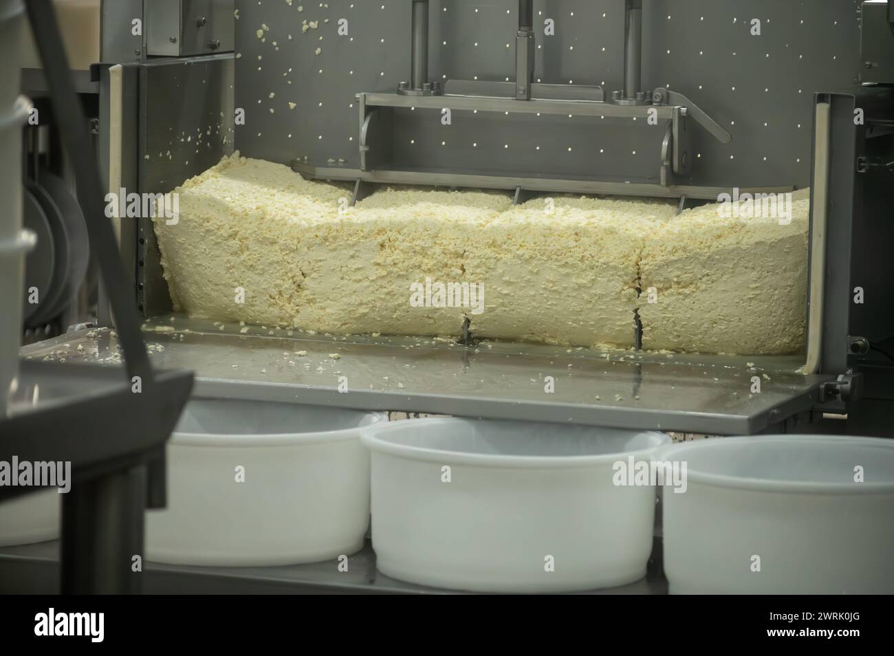 Process of organic cheese making from cow milk on bio cheese farm in ...