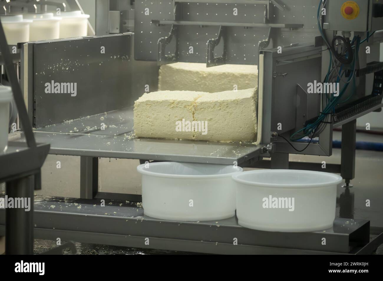 Process of organic cheese making from cow milk on bio cheese farm in ...