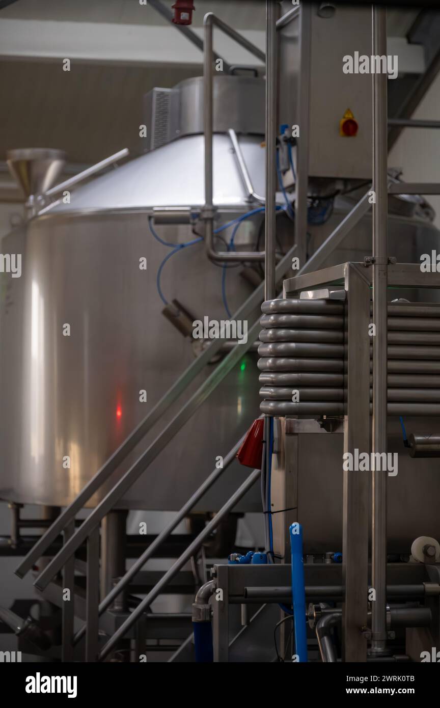 Process of organic cheese making from cow milk on bio cheese farm in ...