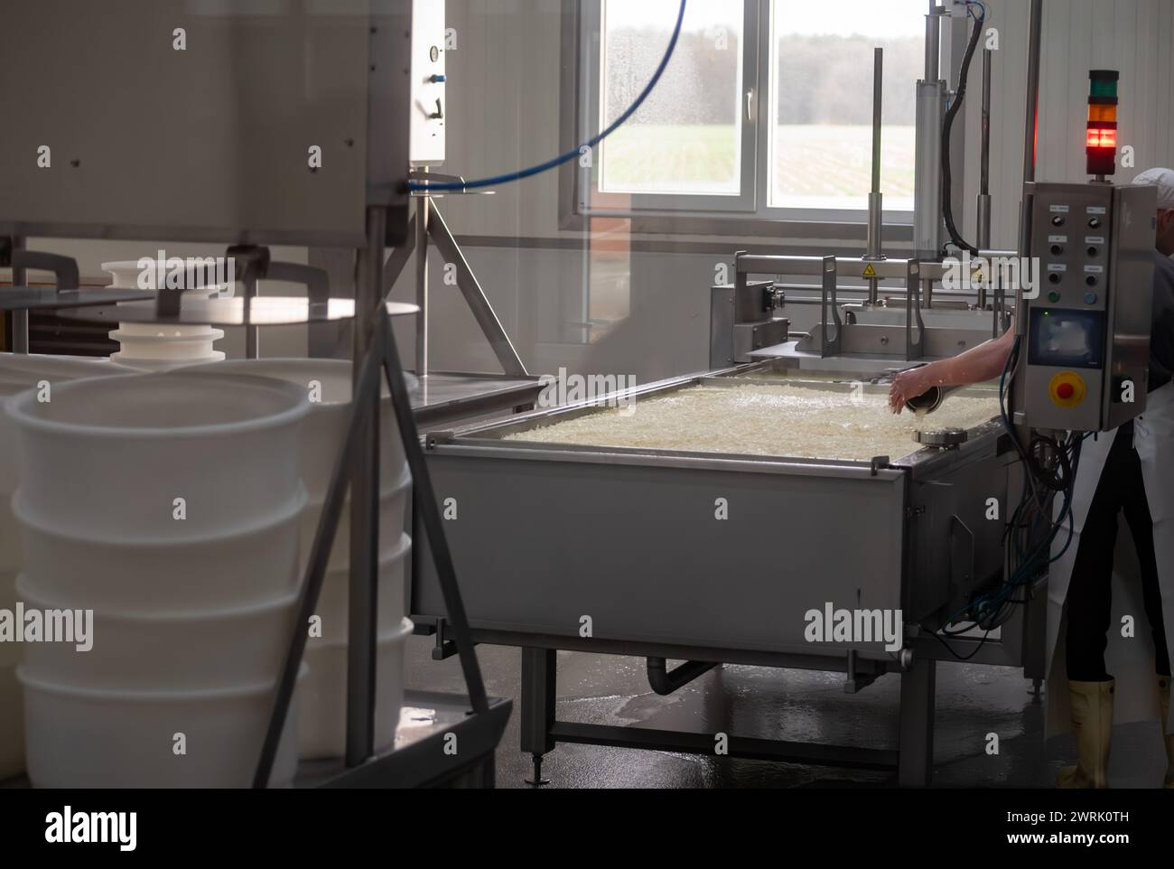 Process of organic cheese making from cow milk on bio cheese farm in ...