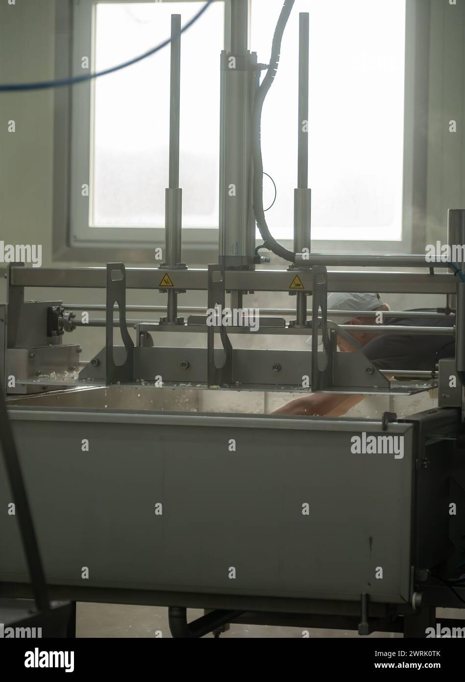 Process of organic cheese making from cow milk on bio cheese farm in ...