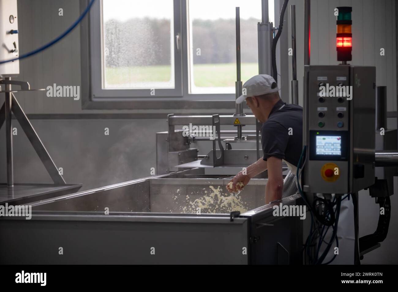 Process of organic cheese making from cow milk on bio cheese farm in ...