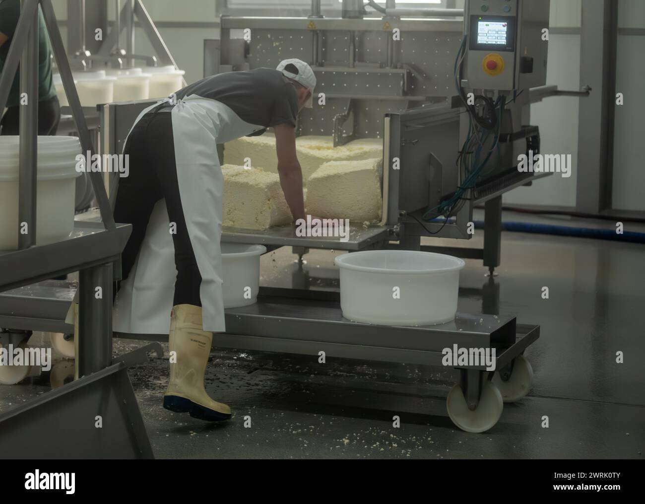 Process of organic cheese making from cow milk on bio cheese farm in ...