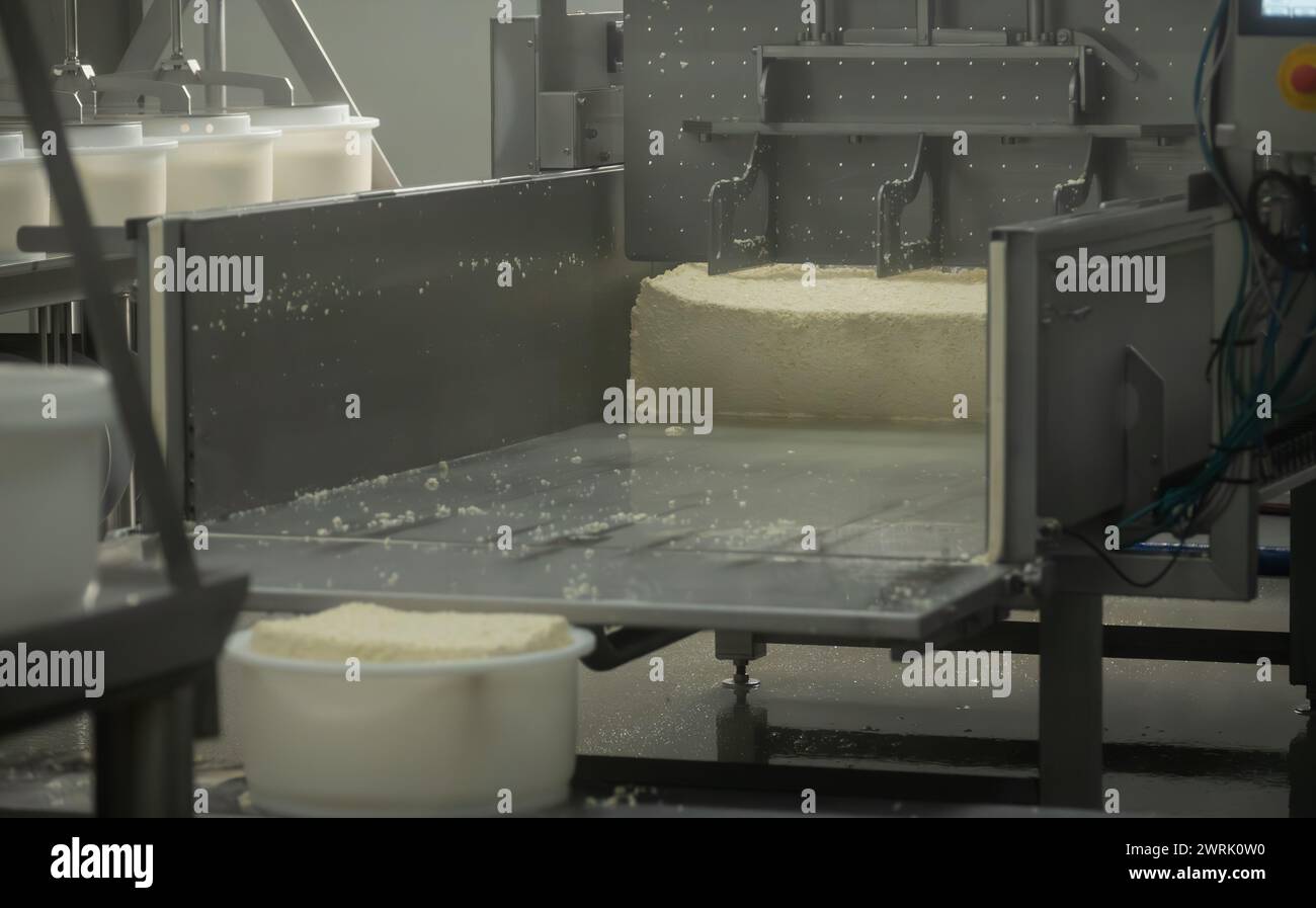 Process of organic cheese making from cow milk on bio cheese farm in ...