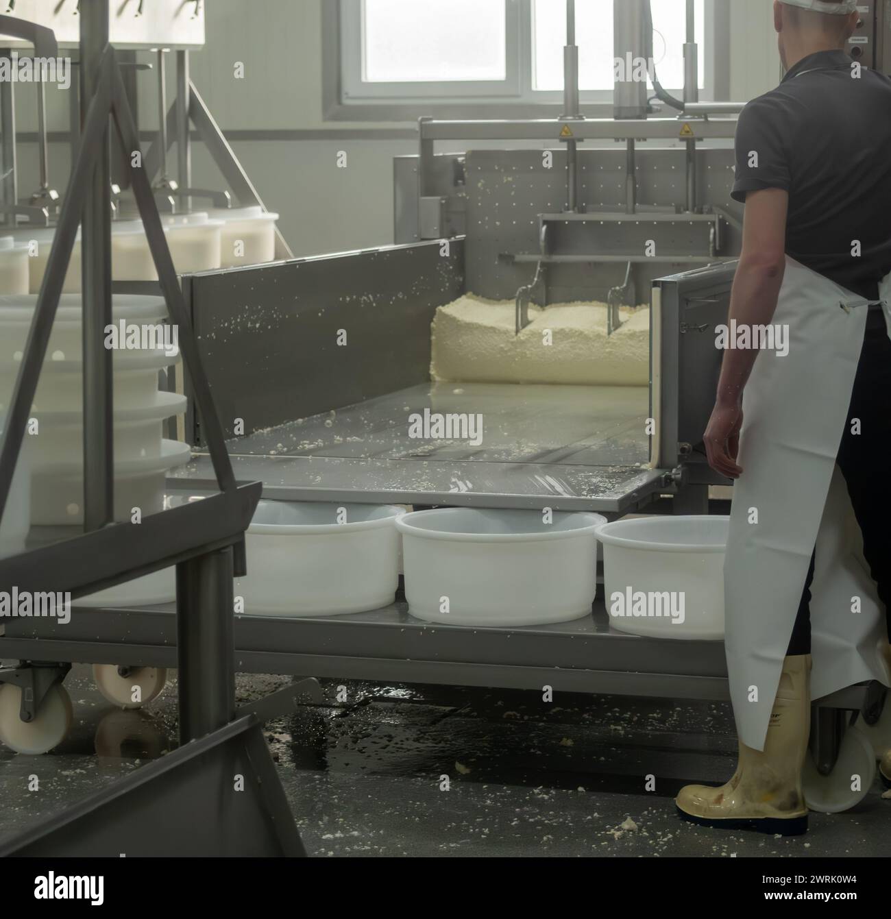 Process of organic cheese making from cow milk on bio cheese farm in ...