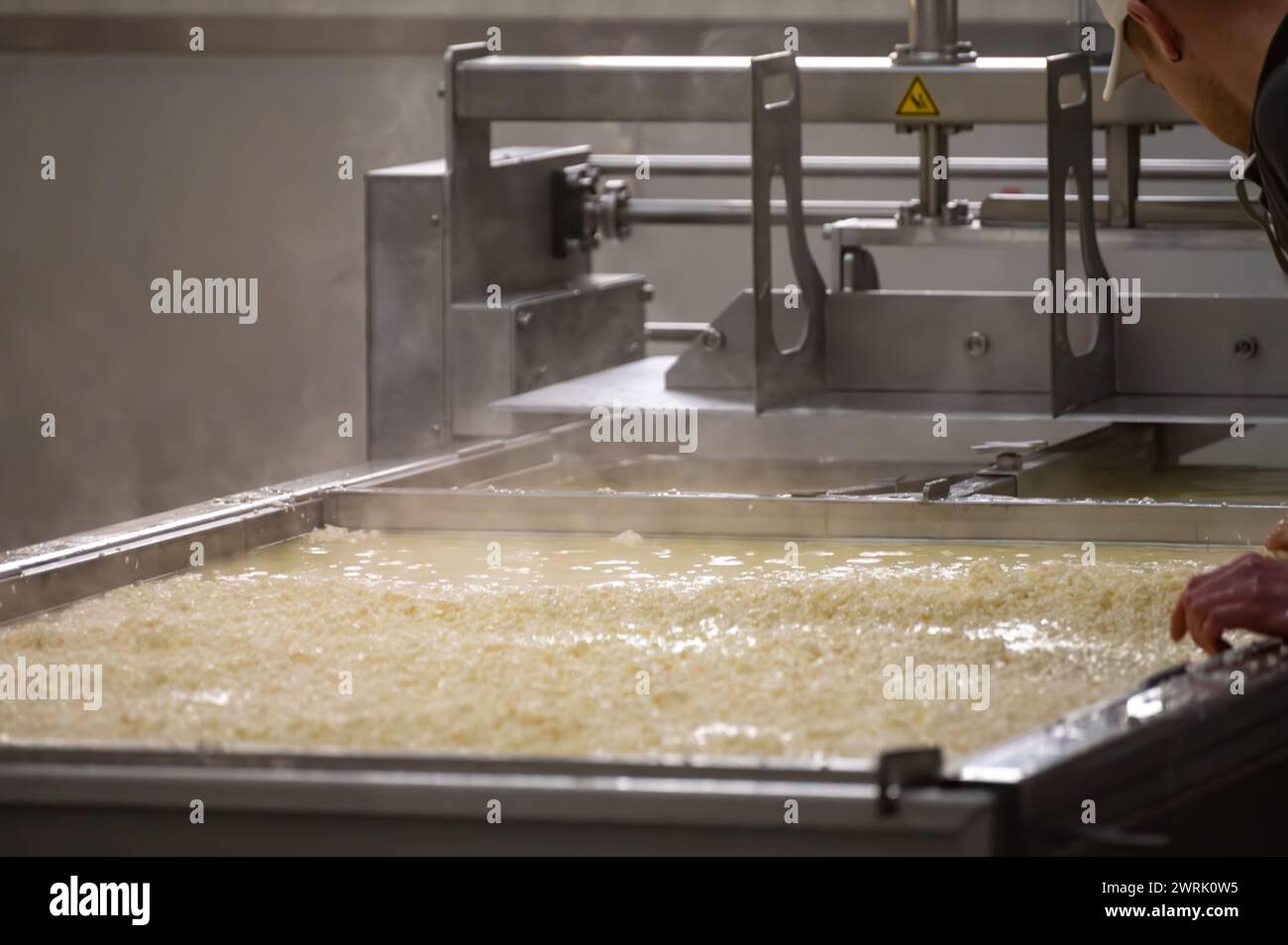 Process of organic cheese making from cow milk on bio cheese farm in ...