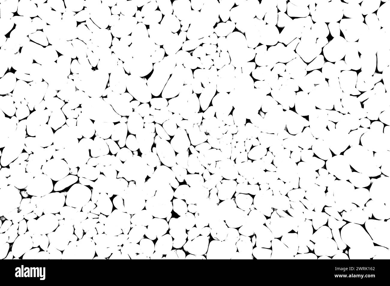Abstract black white grainy texture Cut Out Stock Images & Pictures - Alamy