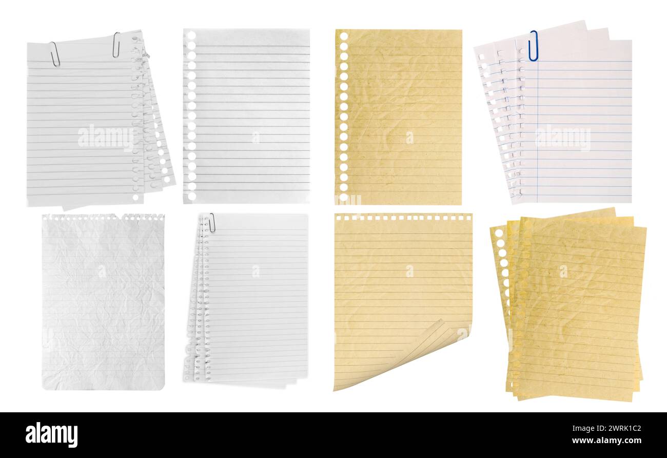 a colection paper page notebook and notebook isolated on the white ...