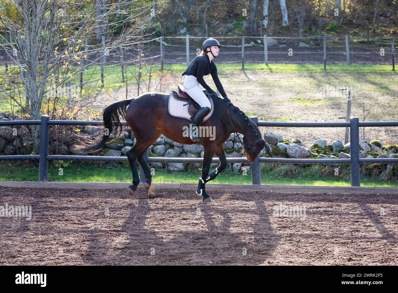 A rider fights to control a horse at a local show jumping competition ...