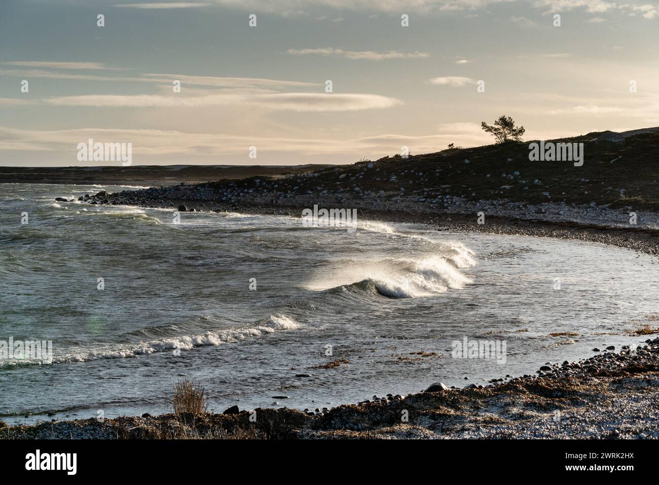 STORM WAVES ROLL INTO AN IDYLLIC REMOTE ISLAND BEACH, BALTIC SEA: Storm ...