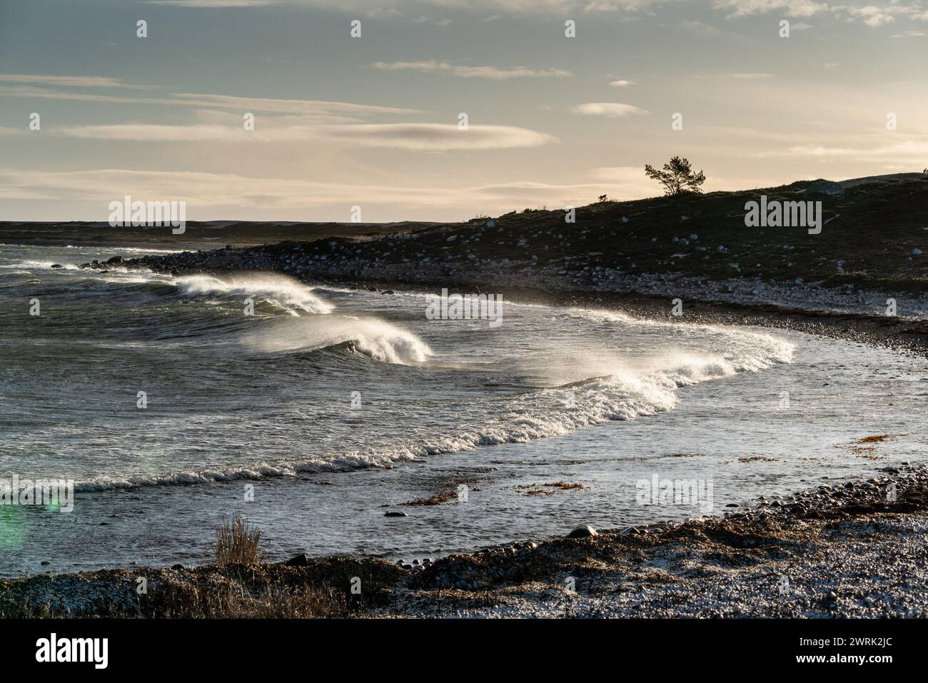 STORM WAVES ROLL INTO AN IDYLLIC REMOTE ISLAND BEACH, BALTIC SEA: Storm ...
