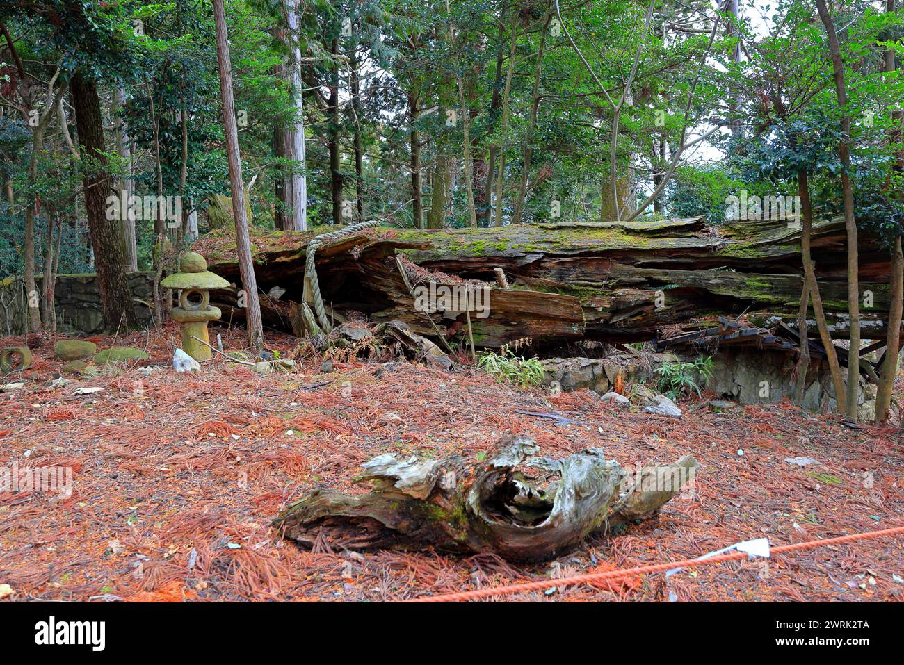 Mountain path between Kurama-dera Temple and Kifune Shrine at ...