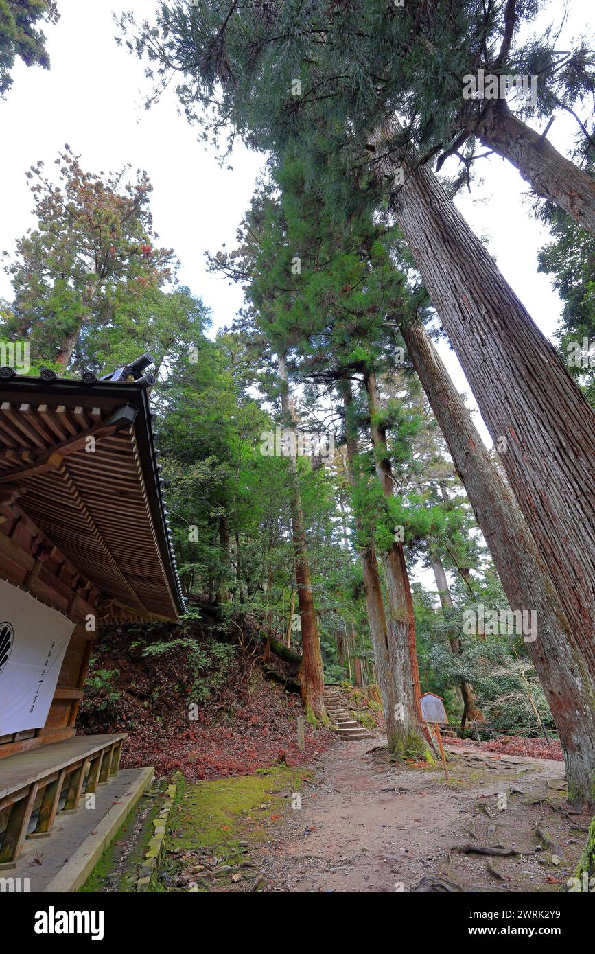 Mountain path between Kurama-dera Temple and Kifune Shrine at ...