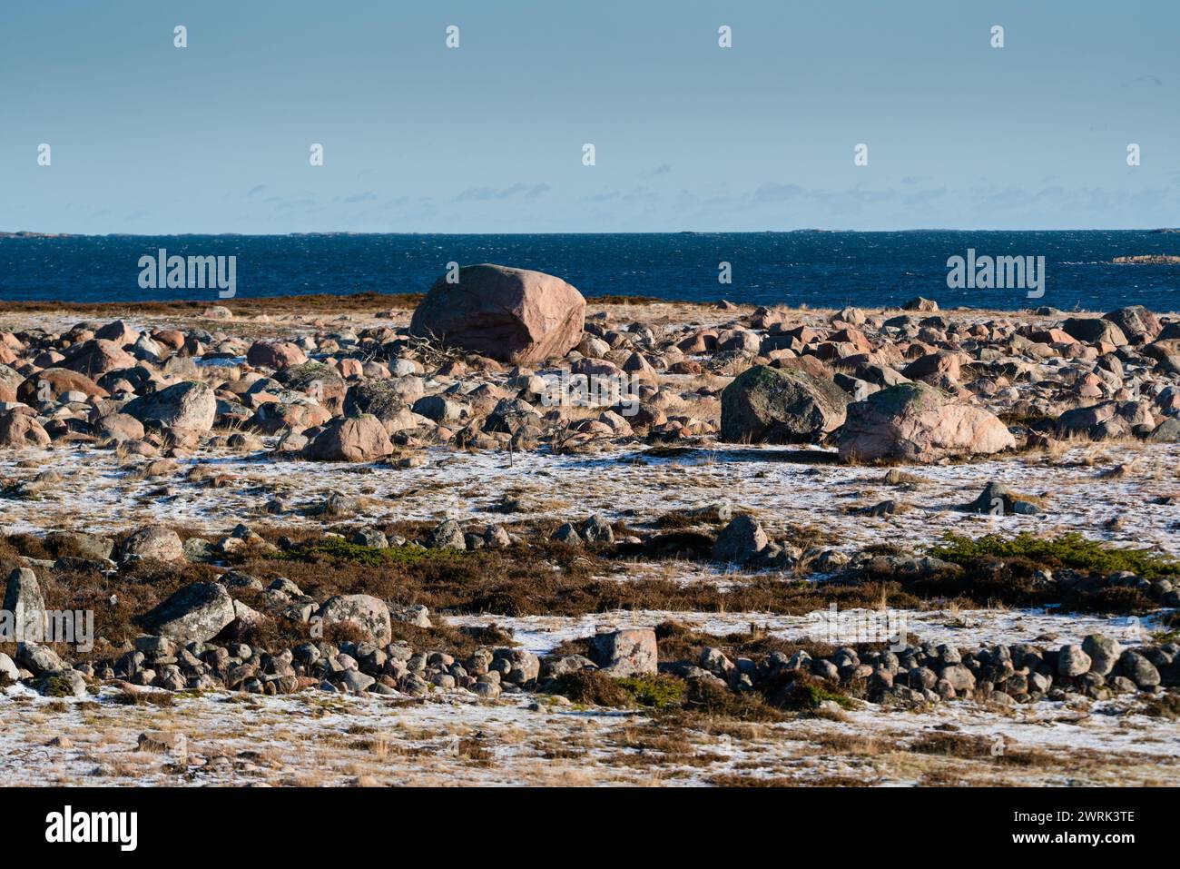 Incredible fauna hi-res stock photography and images - Alamy