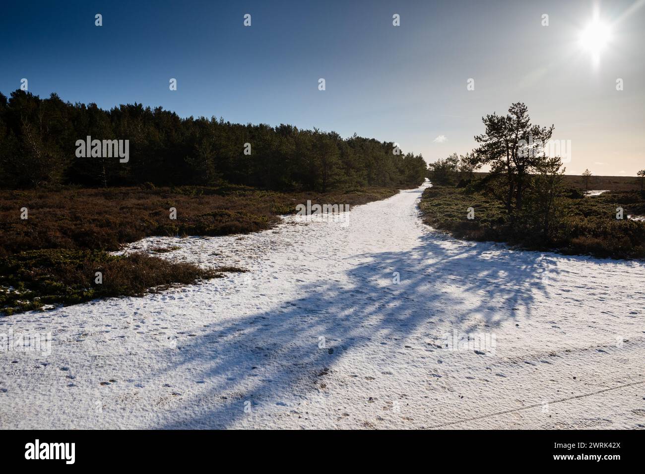 SNOW COVERED ROADS, JURMO, BALTIC SEA: Winter sunshine on snow covered ...