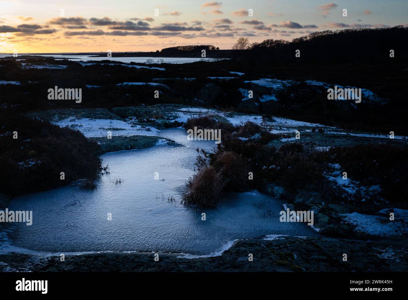 Ice age fauna hi-res stock photography and images - Alamy