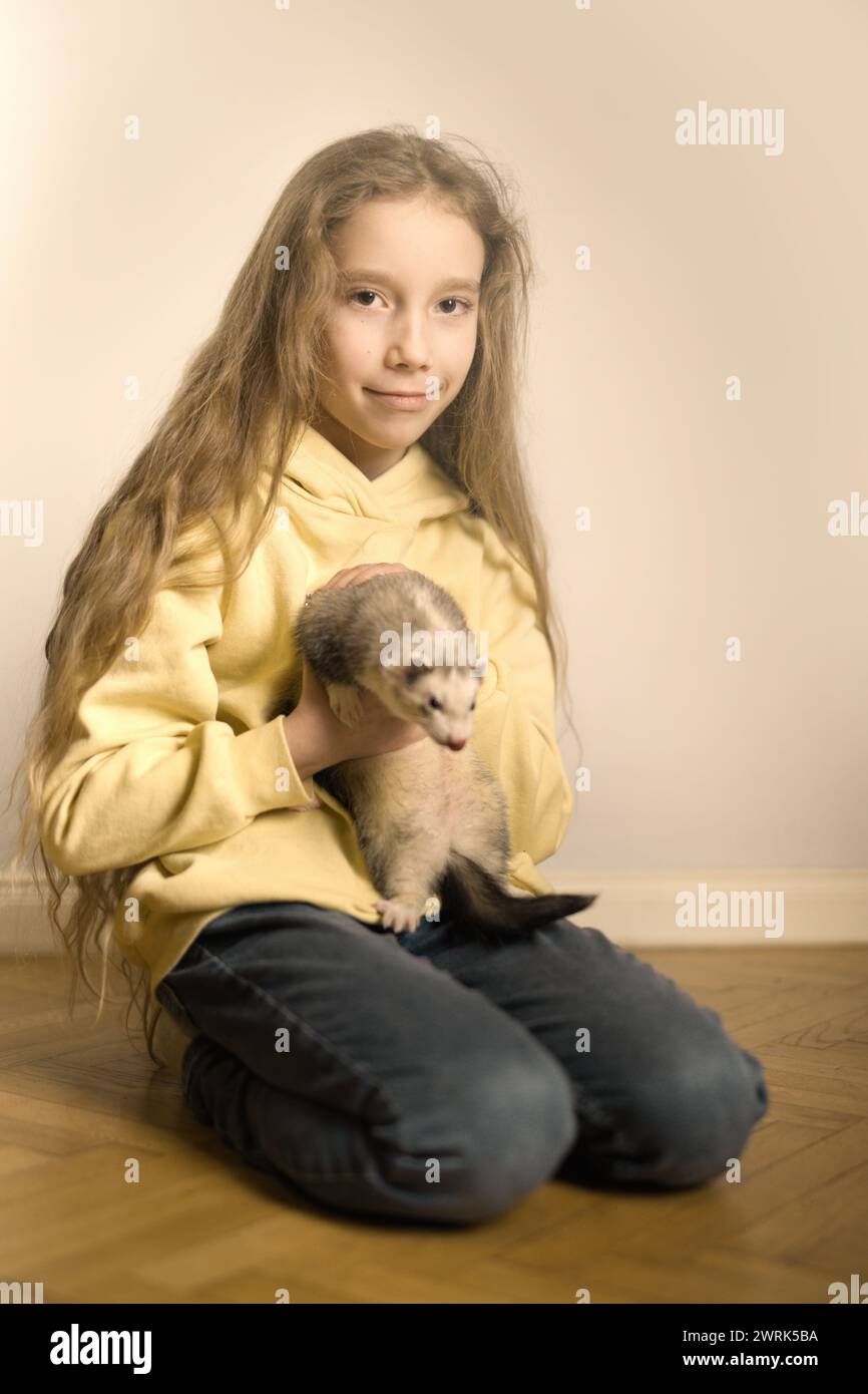 Little girl take care of adult ferret female pet Stock Photo - Alamy