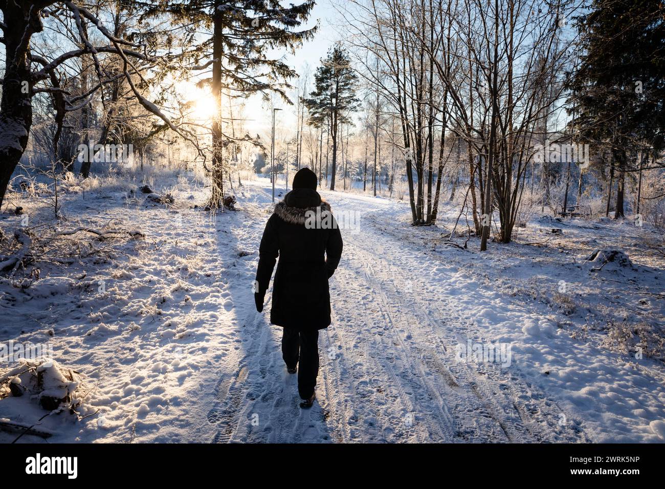 WOMAN, MORNING WALK, WINTER, FREEZING WEATHER, BALTIC SEA: A woman ...