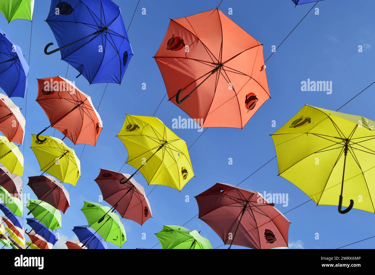 Multicolour splash hi-res stock photography and images - Alamy