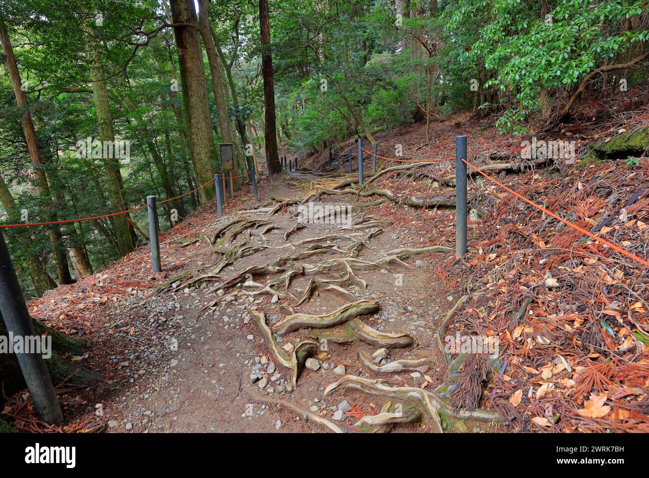 Mountain path between Kurama-dera Temple and Kifune Shrine at ...
