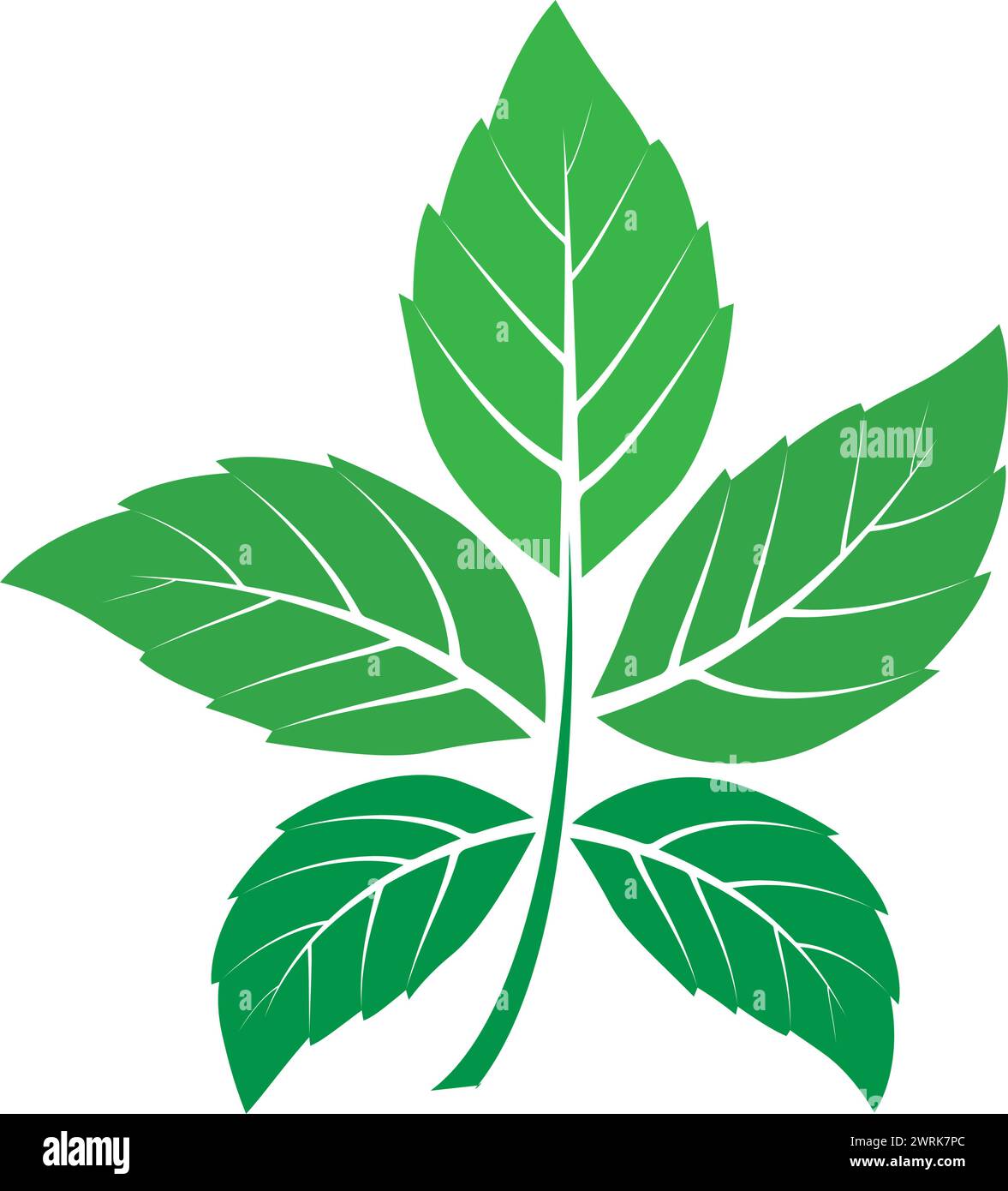 leaf logo icon vektor illustration design Stock Vector Image & Art - Alamy